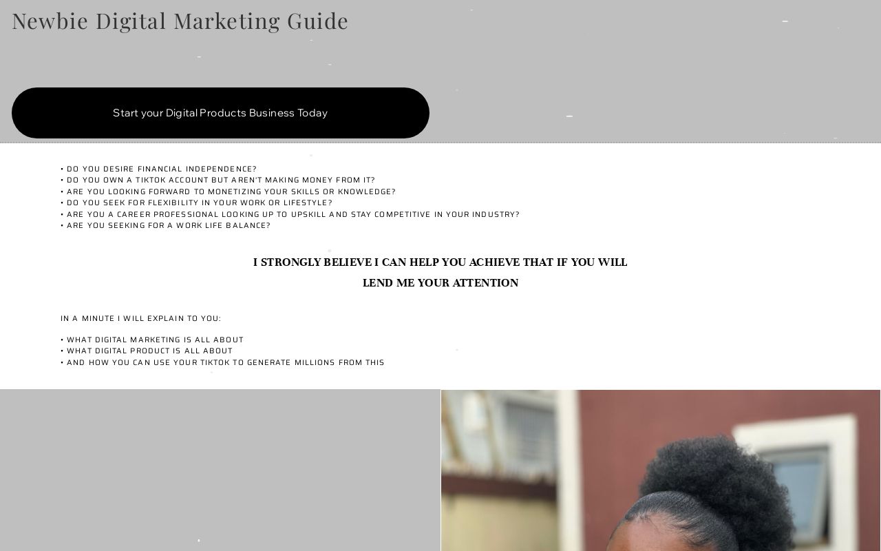 Newbie Digital Marketing Guide
